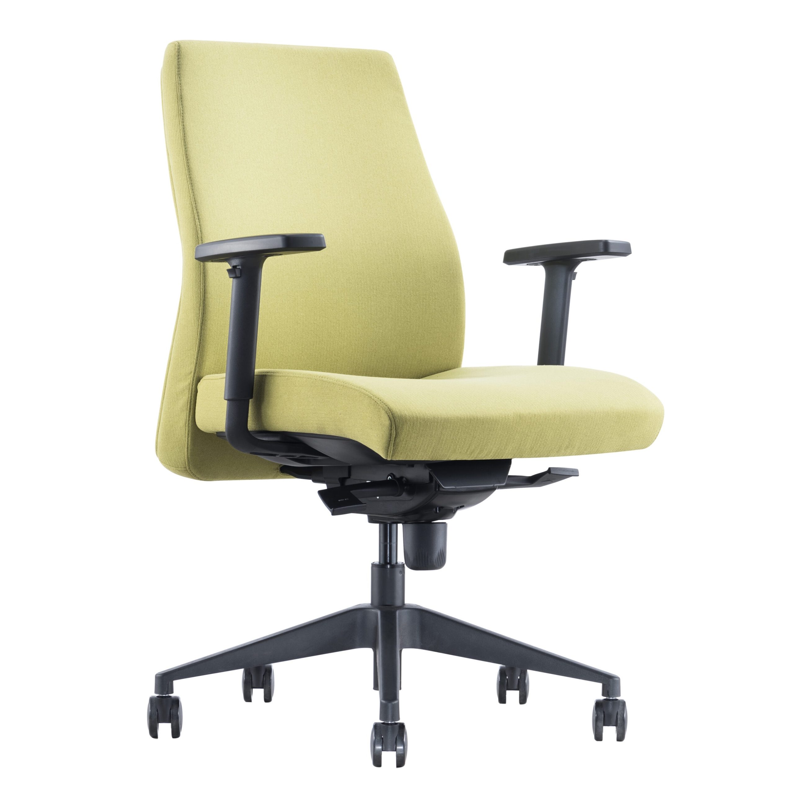 Austin Synchron Mechanism Office Executive Chair Low Back
